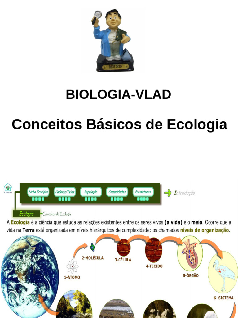 Conceitos Básicos de Ecologia | PDF | Ecossistema | Ecologia