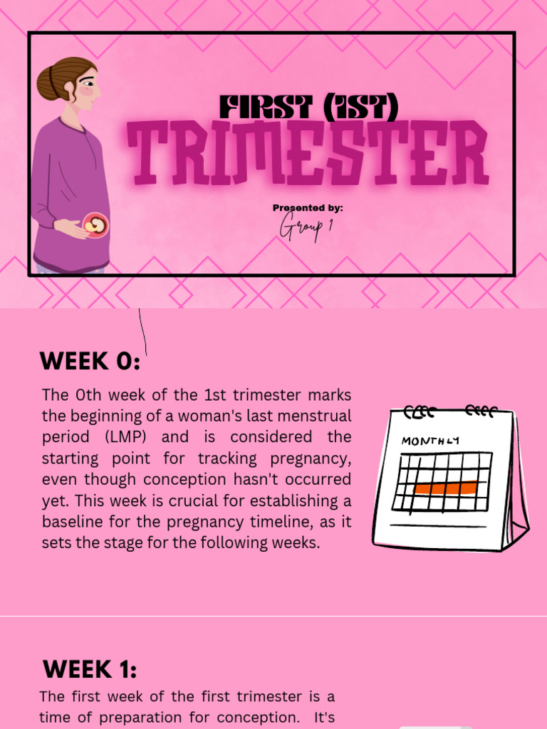 First Semester | PDF | Pregnancy | Fetus