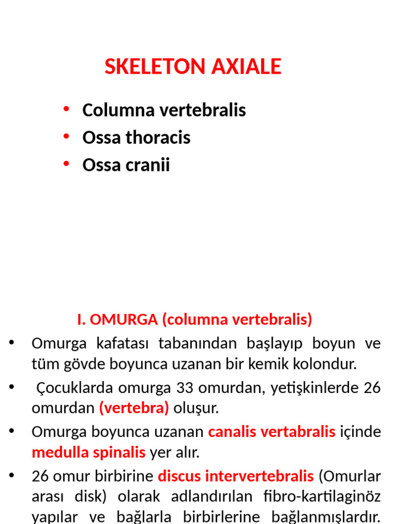 Anatomi 3. Konu | PDF