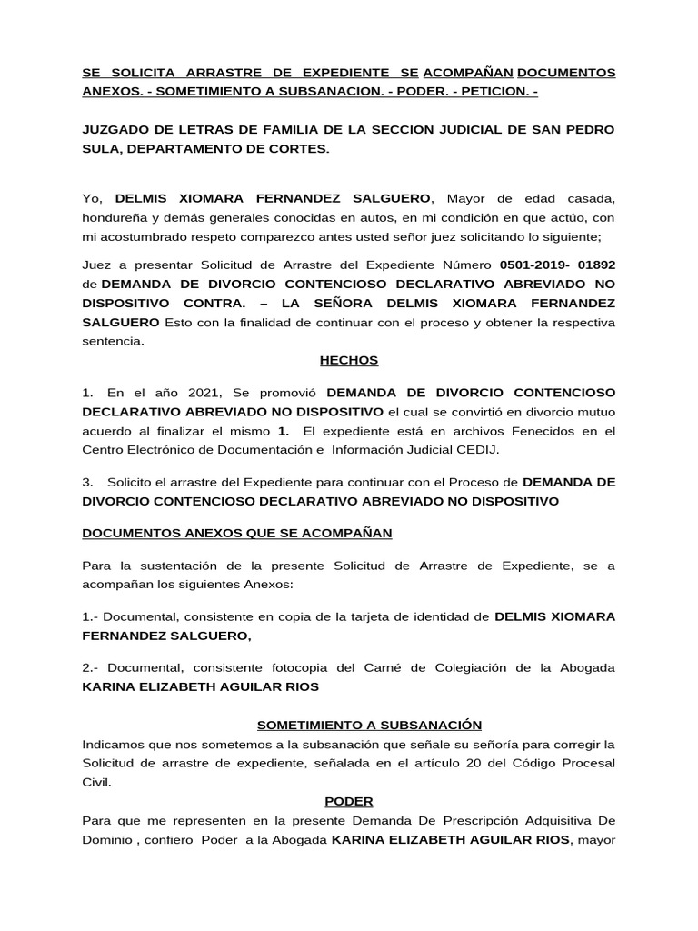 ARRASTRE DE EXPEDIENTE Delmis Fernandez | PDF | Divorcio | Demanda judicial