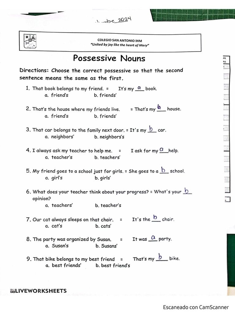 Possessive Nouns | PDF
