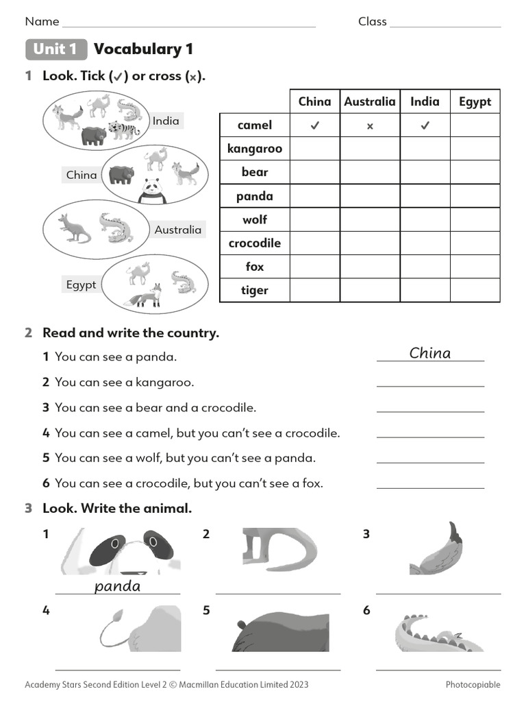 Academy Stars Level 2 Vocabulary & Grammar | PDF