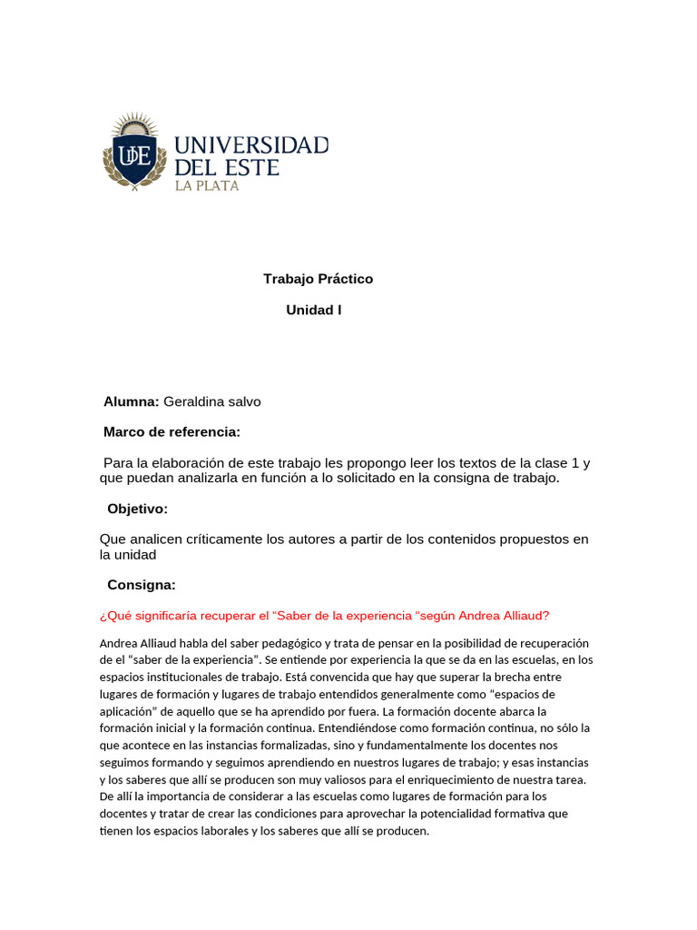 Trabajo Práctico N 1 2024 UDE | PDF | Enseñando | Experiencia