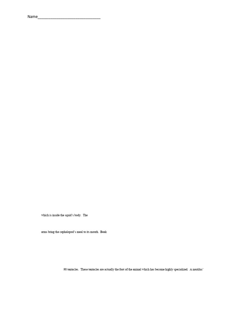 Cephalopod Exploration Guide | PDF | Mollusca | Octopus