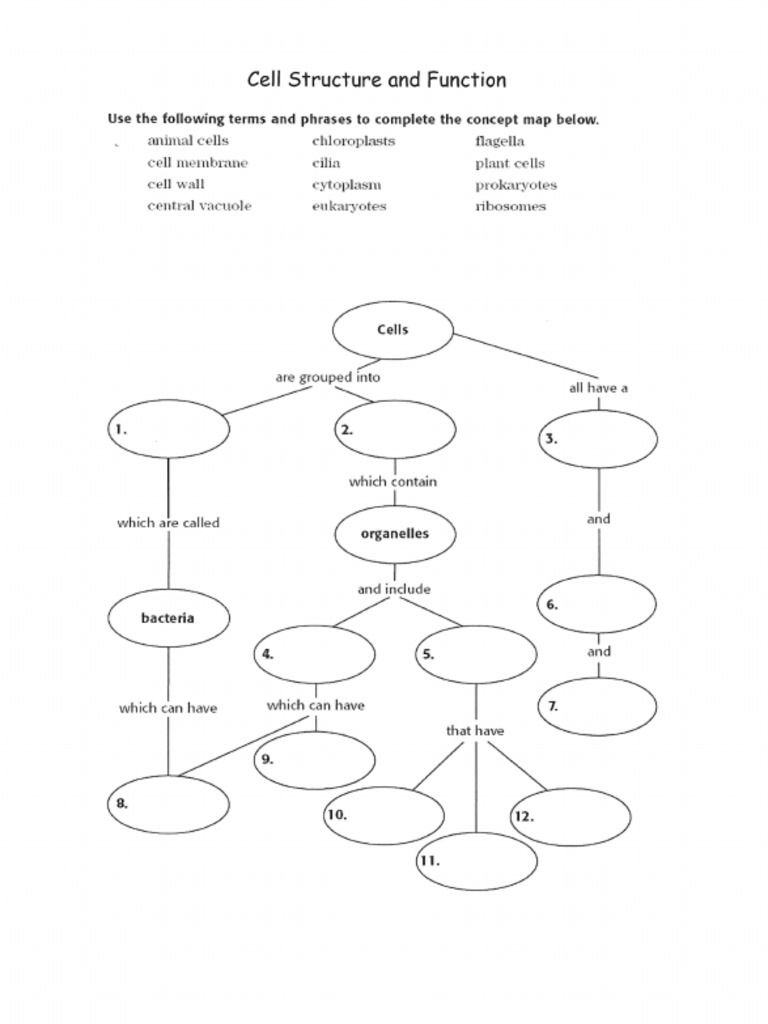 Unit 2 Task 6 Three Cell Concept Maps | PDF