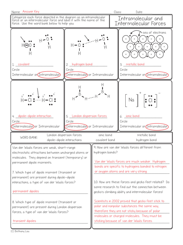 Intramolecular and Intermolecular Forces: O H H O H H | PDF ...