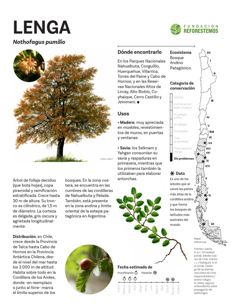 Lenga 44 | PDF | Chile | Andes