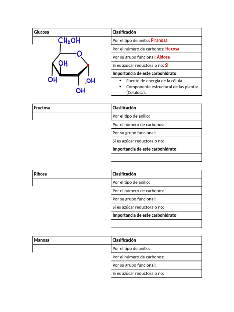 Tarea - Estructura Carbohidratos | PDF | Salud y bienestar