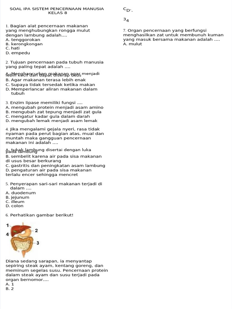 Soal Pencernaan Manusia | PDF
