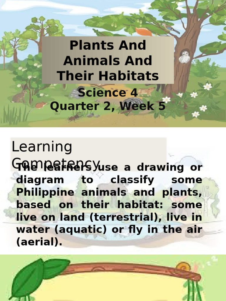 Science 4 Q2W5 | PDF | Coast | Habitat