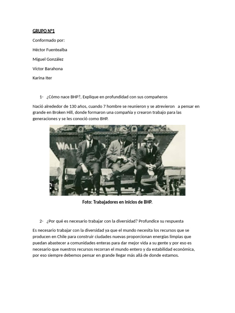 Valores y Enfoques de BHP | PDF | Sustentabilidad