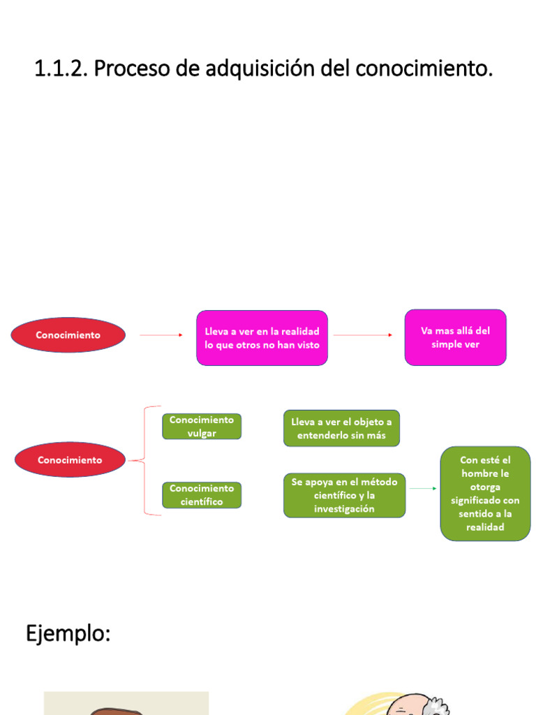 1.1.2. Proceso de Adquisición Del Conocimiento | PDF | Conocimiento | Realidad