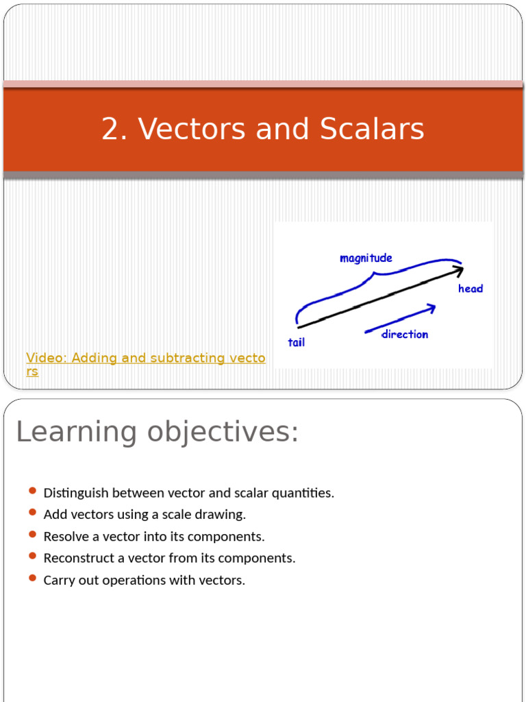 Vectors and Scalars | PDF | Euclidean Vector | Physics