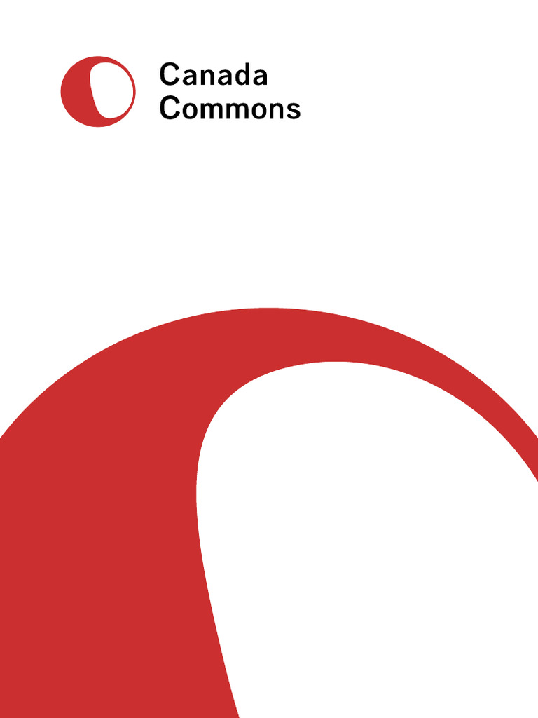 Community Inclusion Vision 2028 Report | PDF | Cost Of Living | Disability