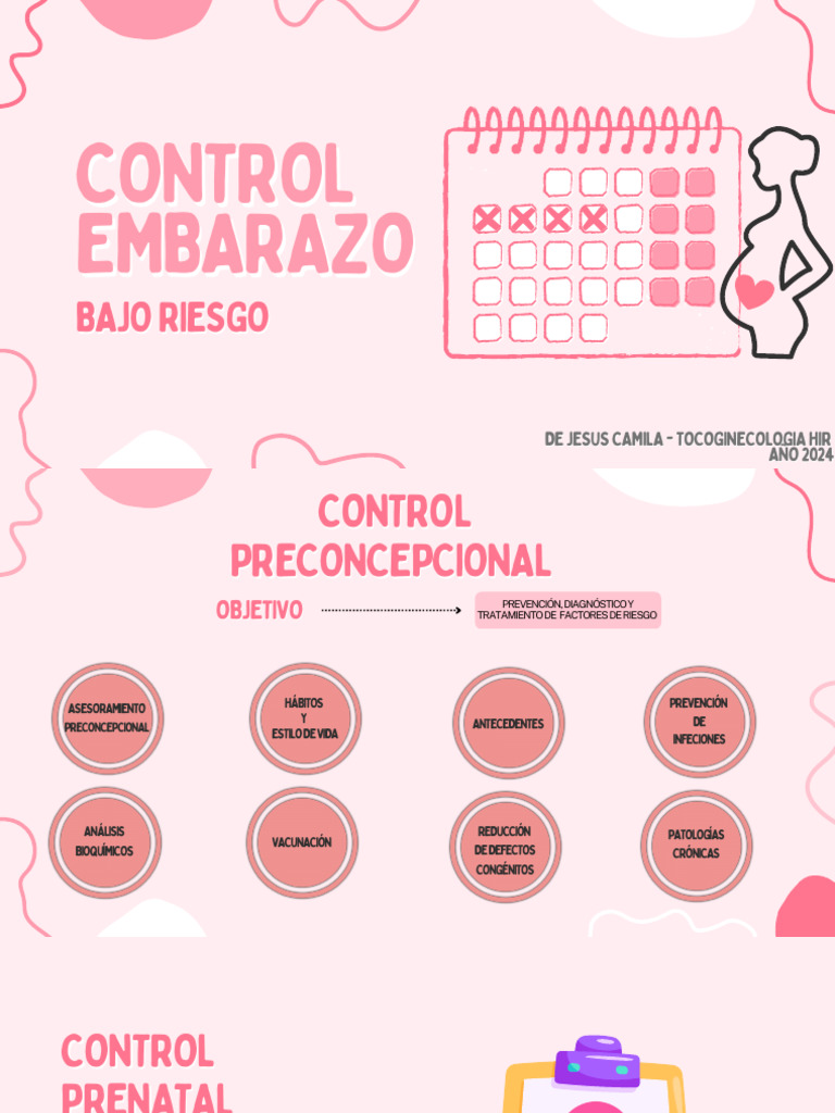 Control Embarazo Bajo Riesgo | PDF | El embarazo | Ciencias de la Salud