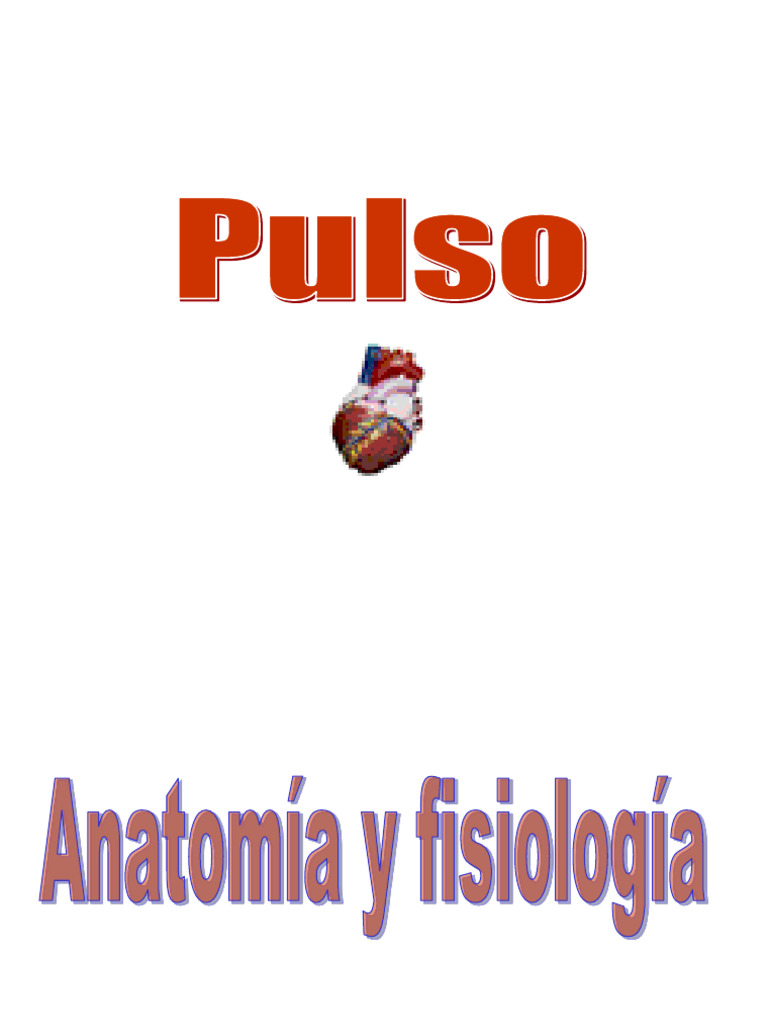Pulso | PDF | Corazón | Artería