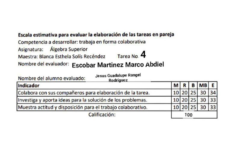 Evaluación Trabajo en Equipo | PDF