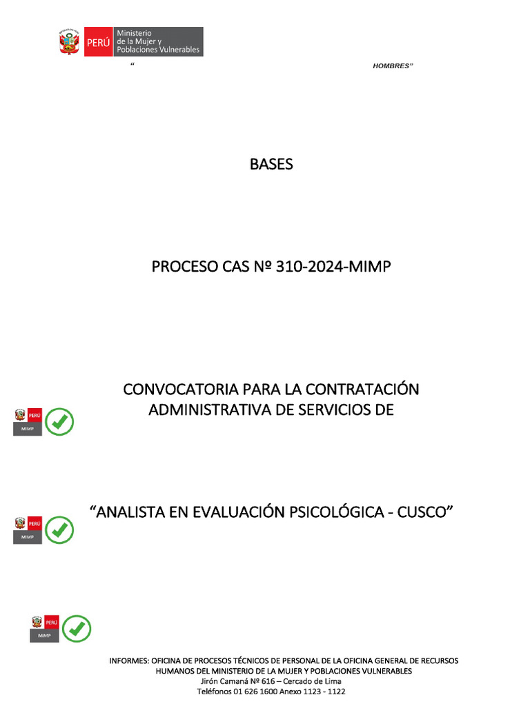 Bases Cas - 310 - 2024 07 11 2024 | PDF | Gestión de recursos humanos | Titulo academico