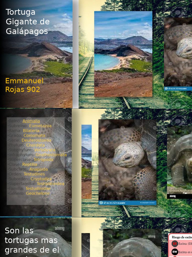 Emmanuel Rojas 902 | PDF | Ciencia y matemática