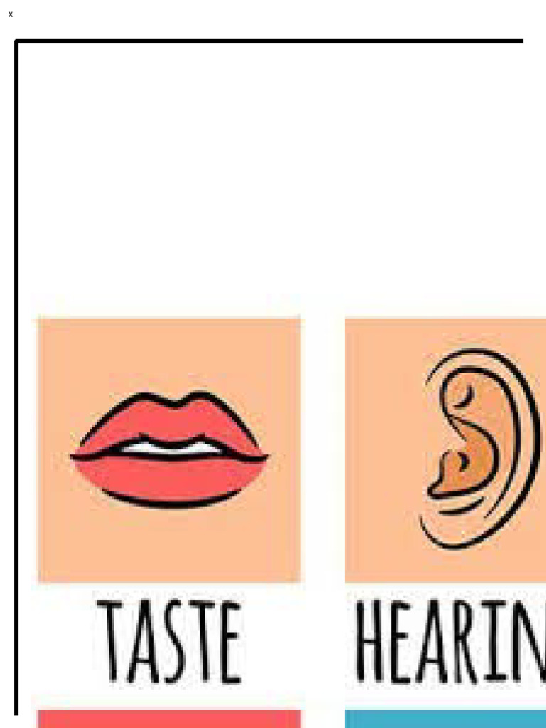 Tarpapel Layout | PDF