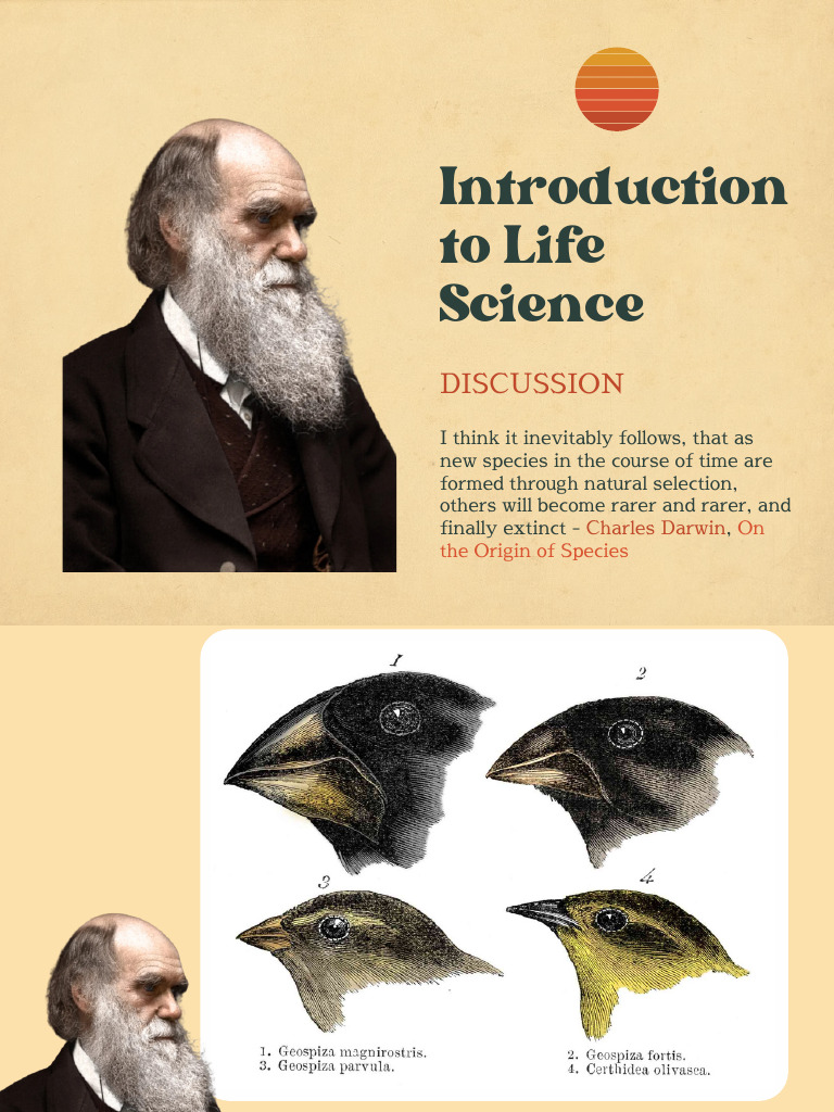 Unifying Themes | PDF | Life | Biology