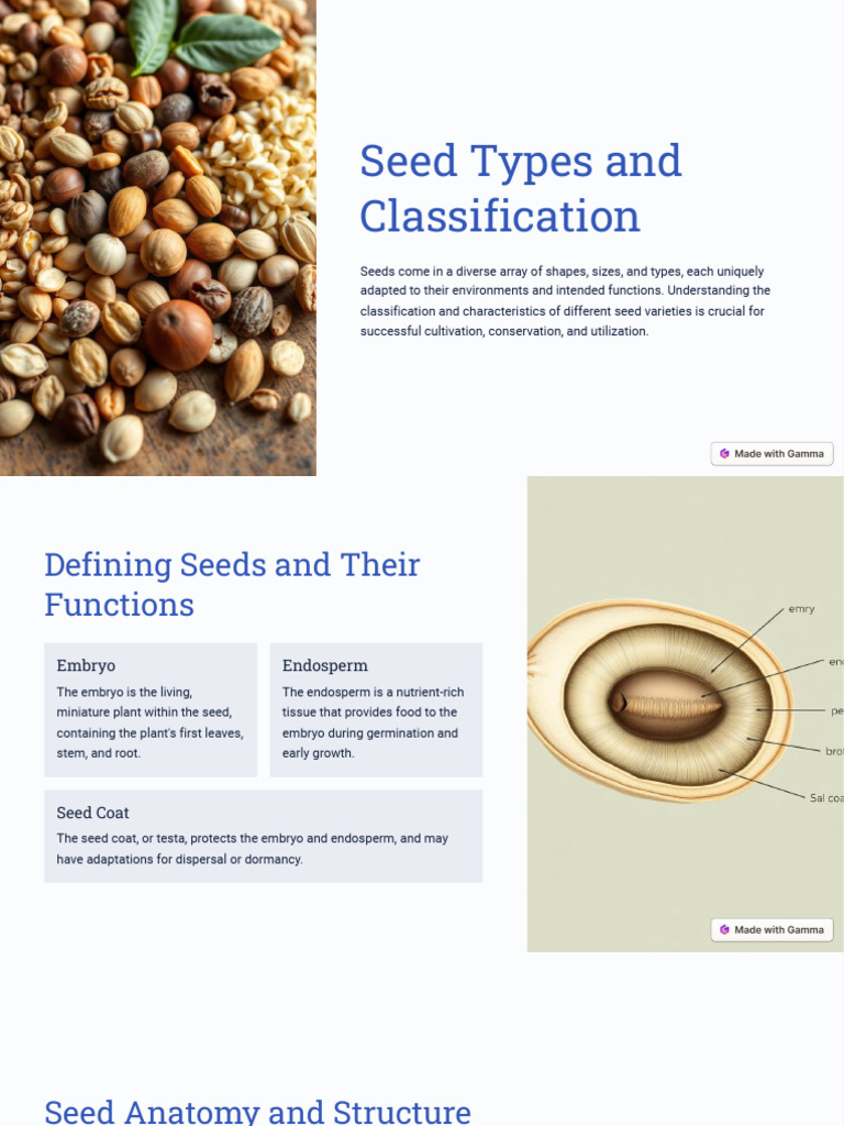 Seed Types and Classification | PDF | Seed | Seedling