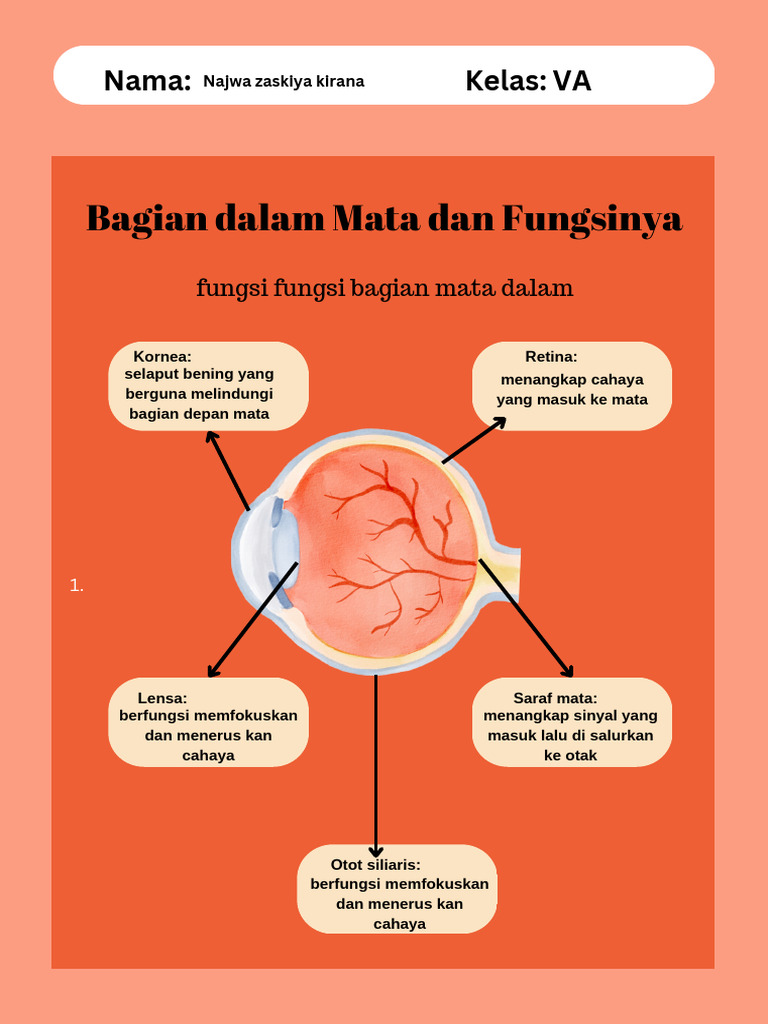Bagian Dalam Mata dan Fungsinya | PDF