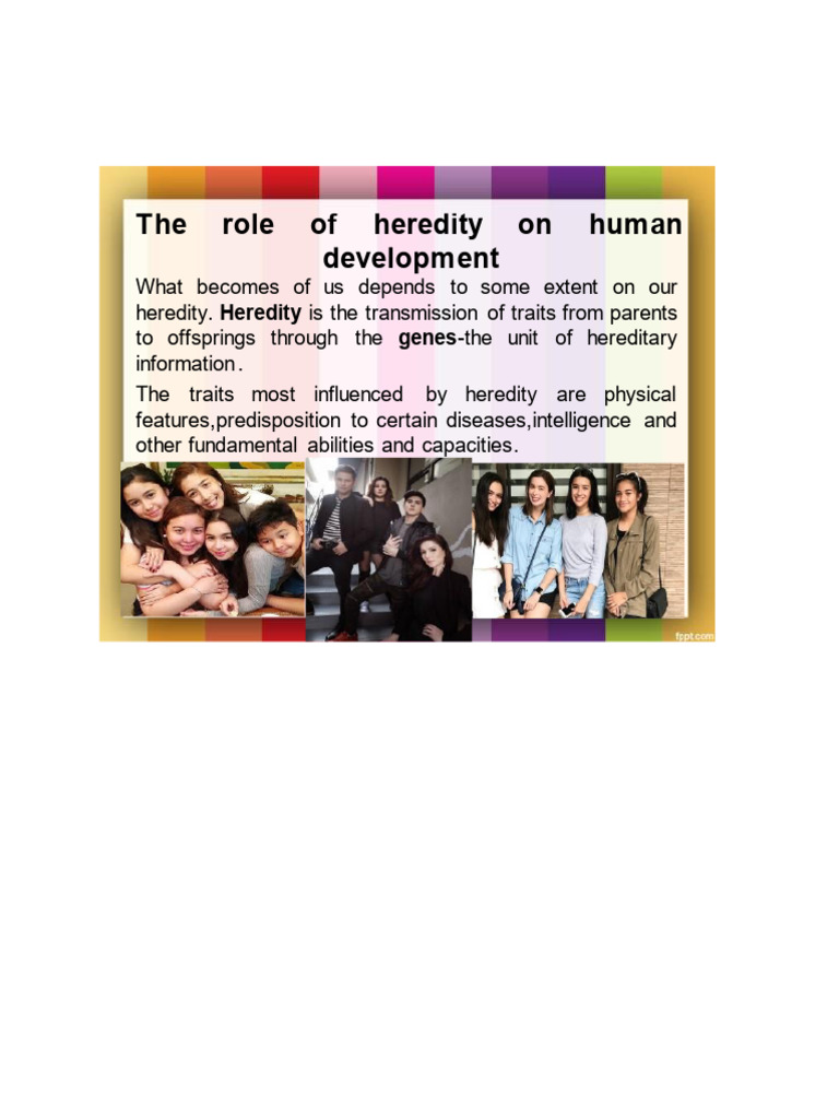 Notes 4 Heredity | PDF