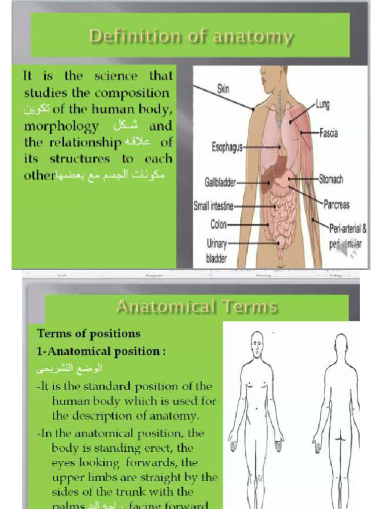 Introduction Antomy 17-10-2021 | PDF