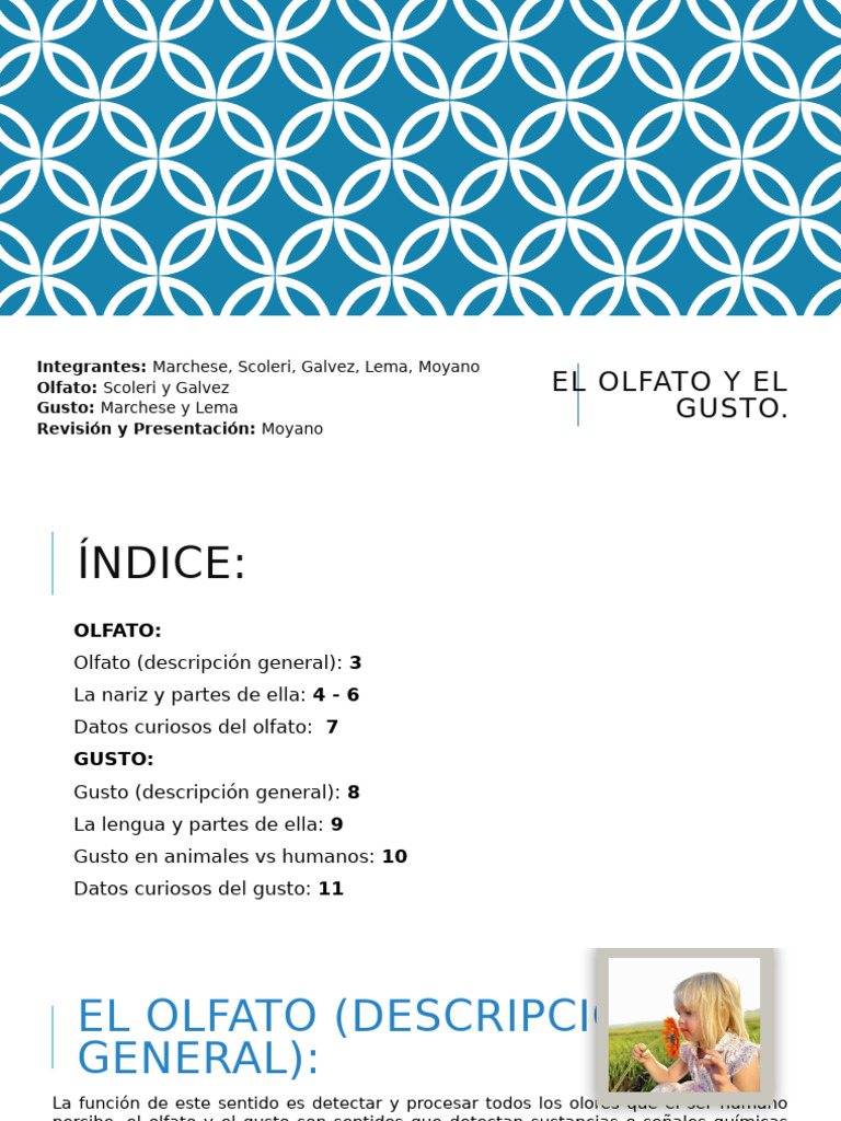 El olfato y el gusto. Marchese, Lema, Moyano, Scoleri y Galvez 2°B TM | PDF | Nariz humana | Gusto