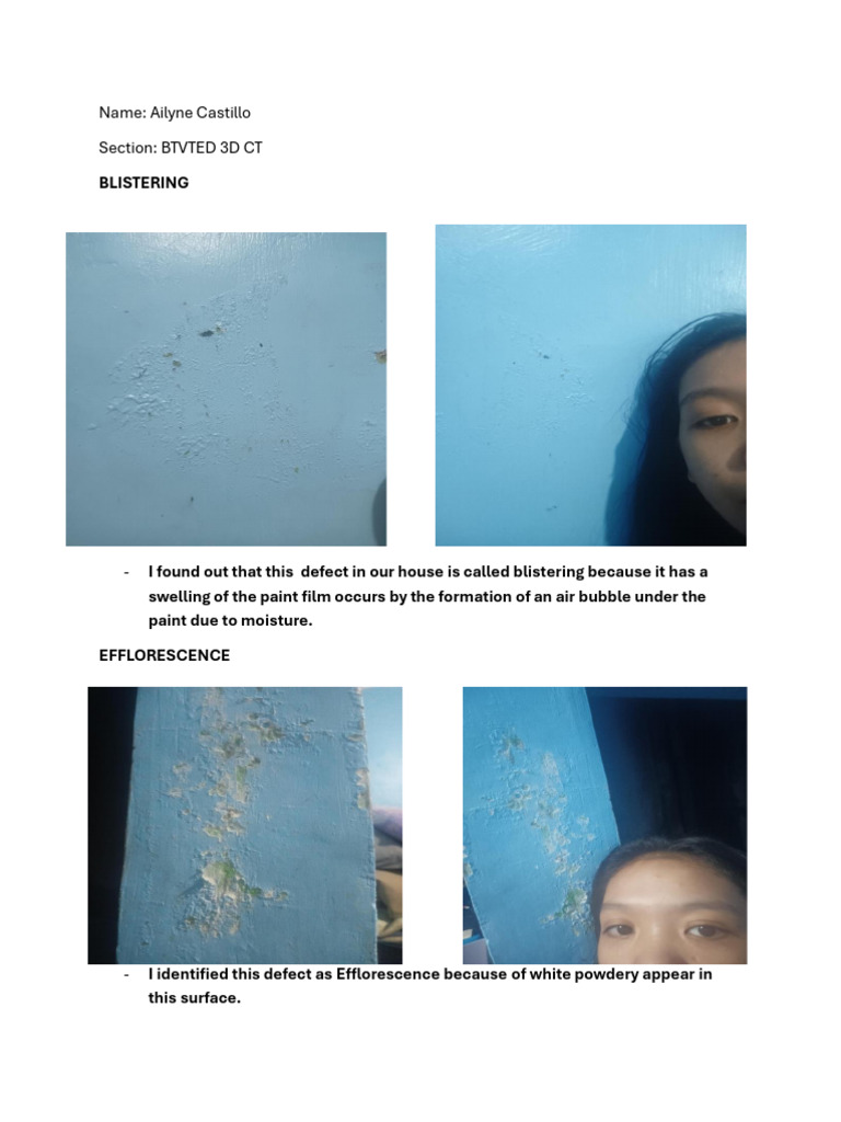 Home Paint Defects Guide | PDF | Art