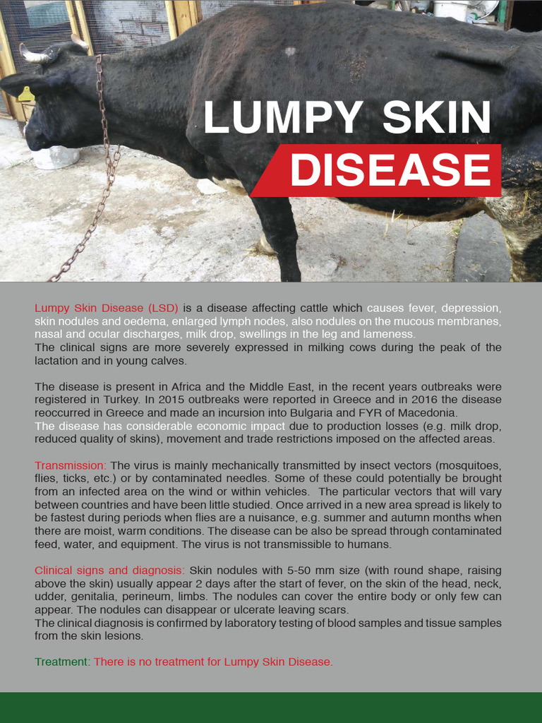 Lumpy Skin Disease in Cattle: Overview | PDF | Medical Specialties ...