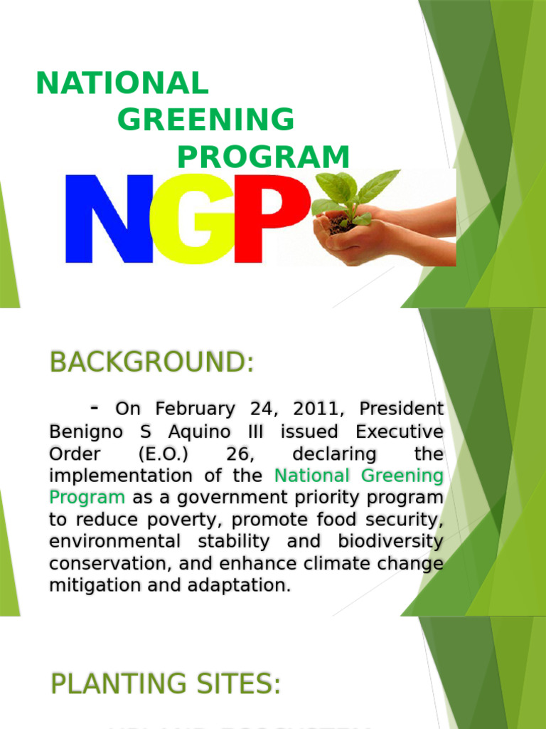 Lakbay Turo - NGP | PDF | Forests | Mangrove