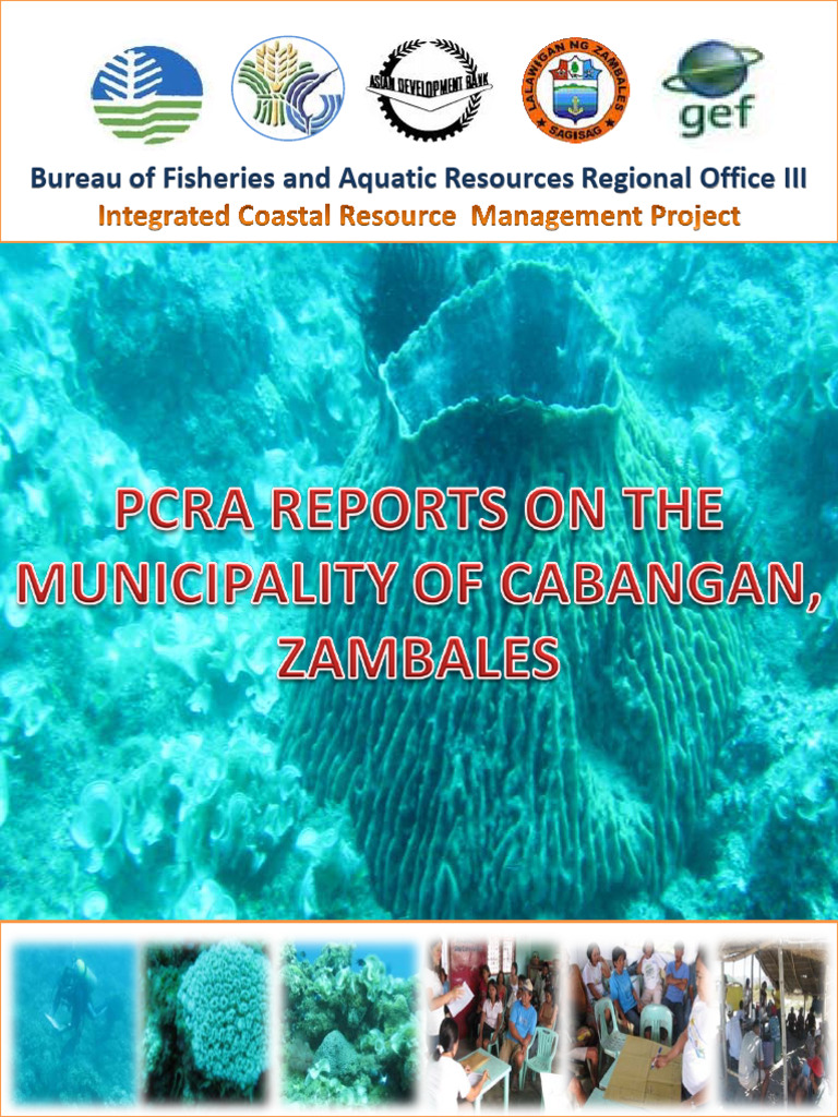PCRA Cabangan | PDF | Earth Sciences