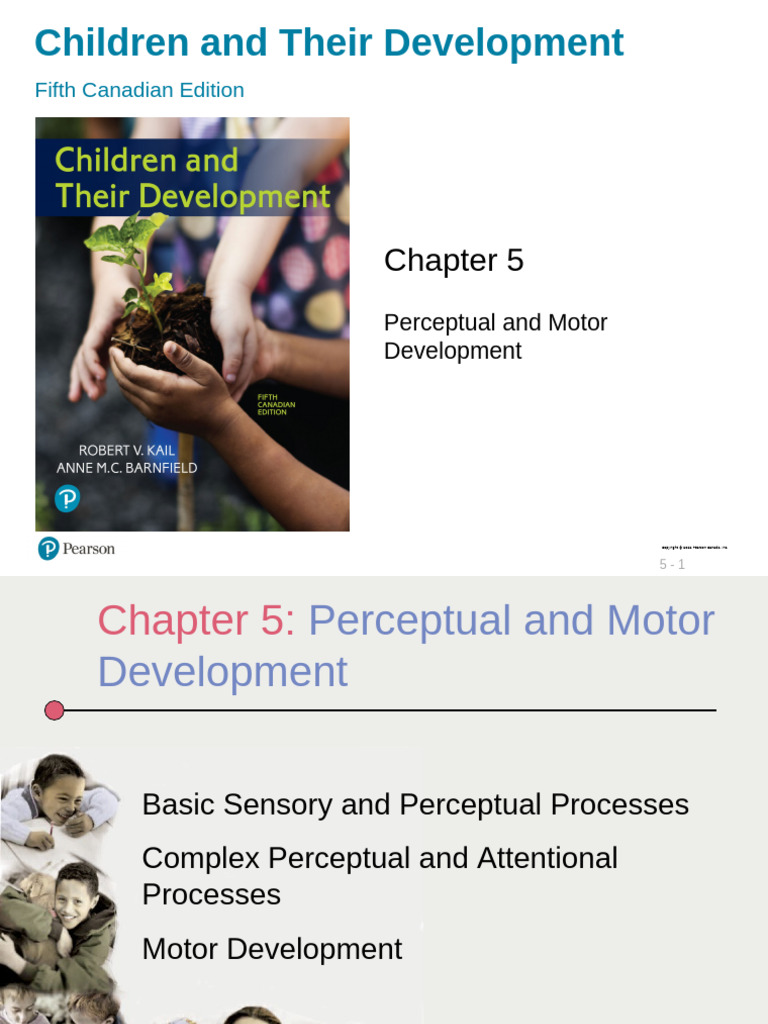 CHP 5 Perception and Motor Dev | PDF | Attention Deficit Hyperactivity Disorder | Perception