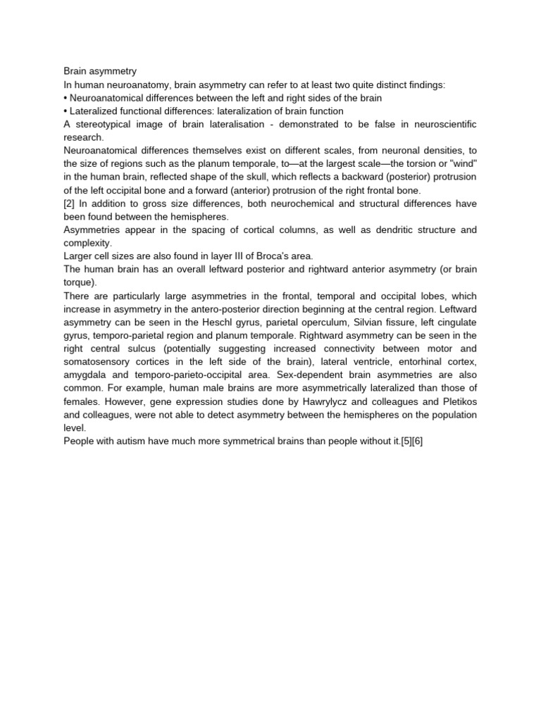 Brain Asymmetry | PDF