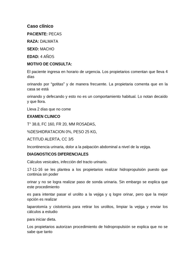 Caso clínico urolitos | PDF | Especialidades Medicas | Urología