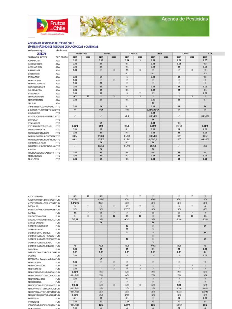 Asoex Agosto 2024 | PDF | Chemical Substances | Chemical Compounds