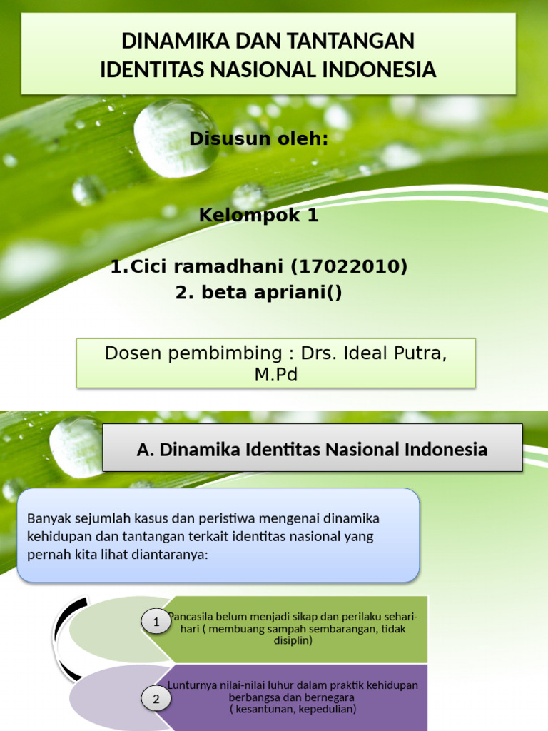 Powerpoint Cici Baru | PDF