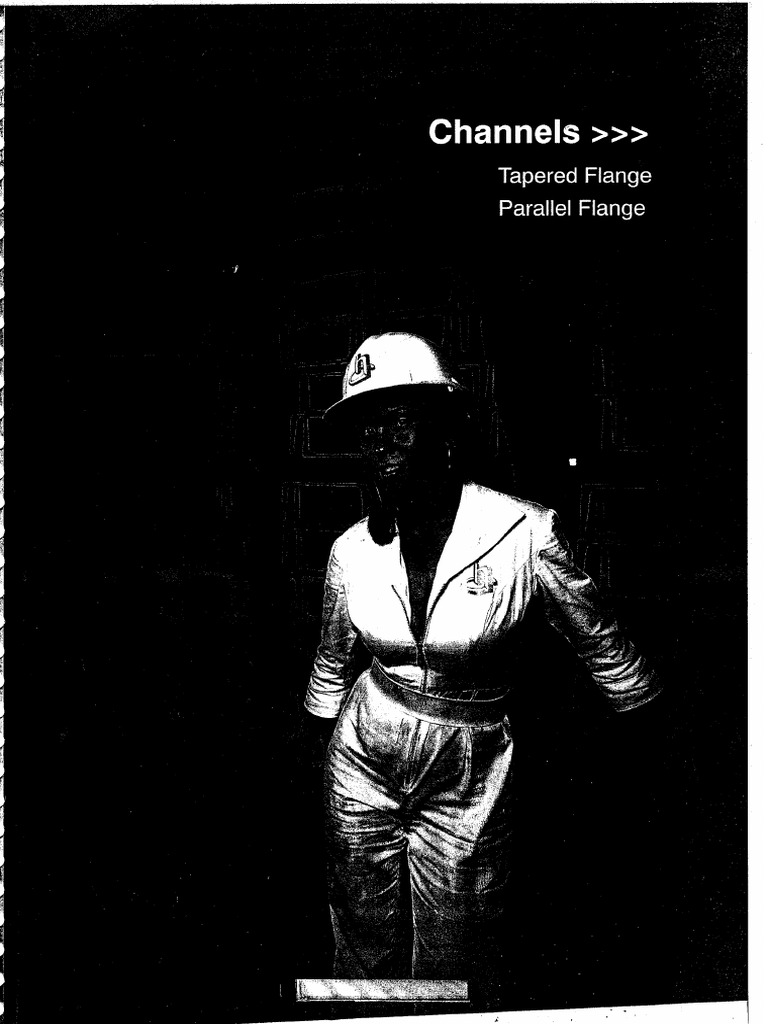 Steel Profile Channel | PDF
