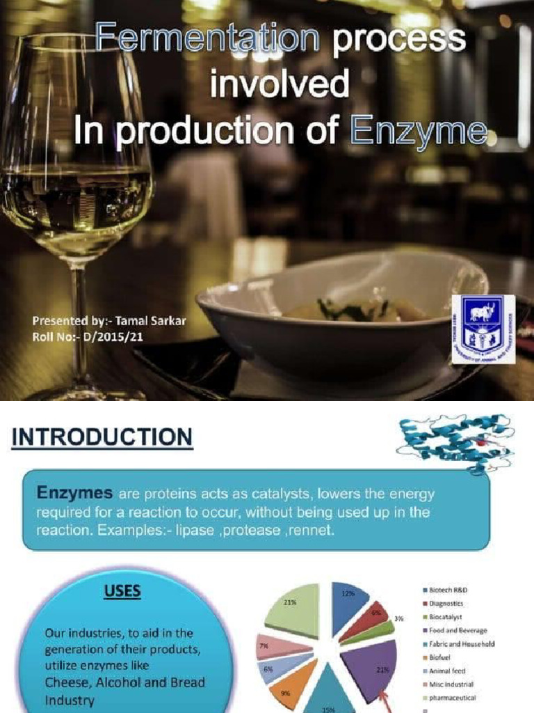 Enzyme Fermentation | PDF