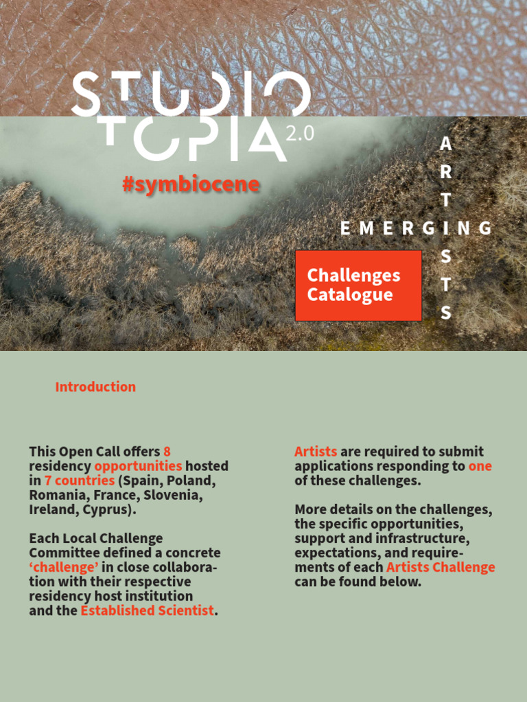 STUDIOTOPIA Emerging Artist Web Compressed-5 | PDF | Sustainability | Science