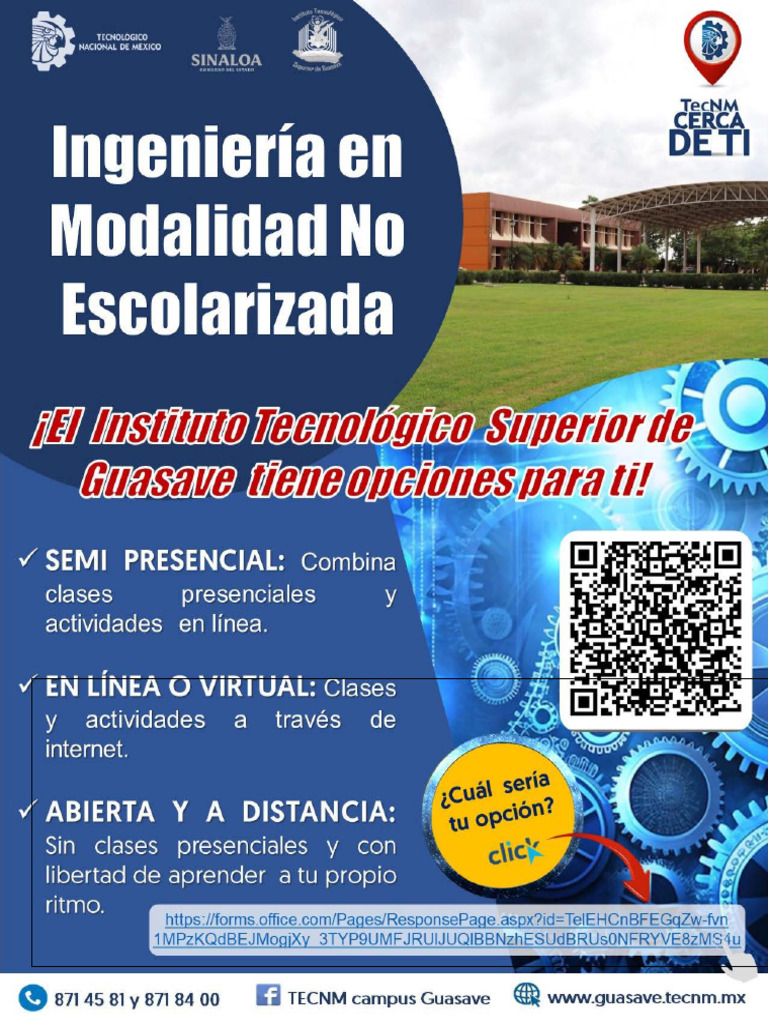 Encuesta Modalidad No Escolarizada | PDF