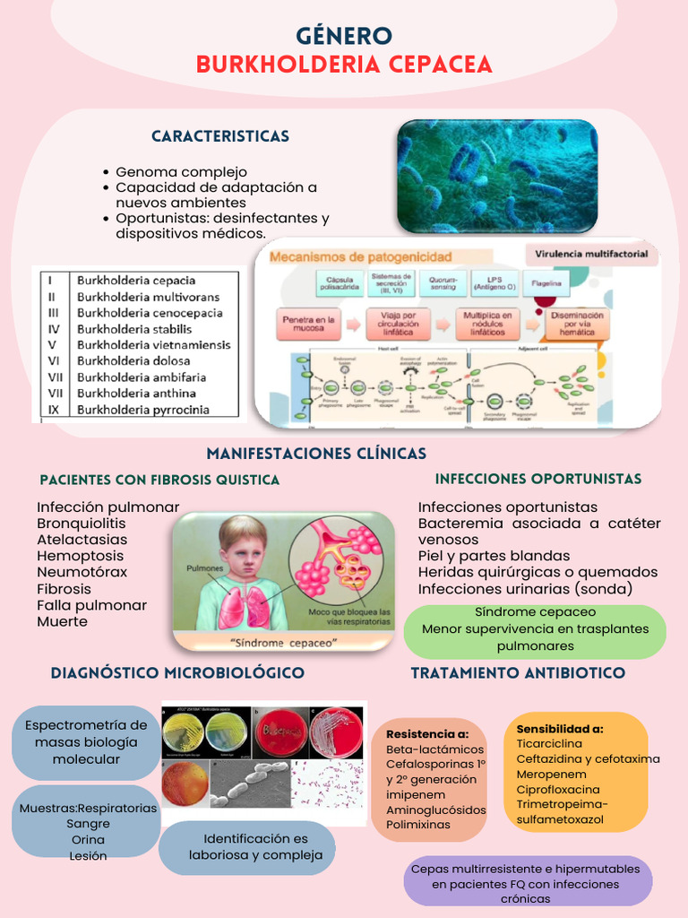 Burkholderia Cepacea | PDF