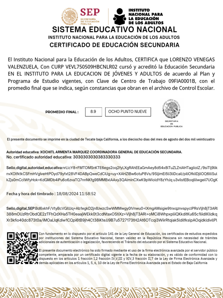 LORENZO CERTIFICADO - PDF - 20241026 - 193301 - 0000 | PDF
