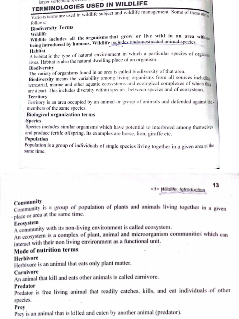 Terms Used in Wildlife | PDF