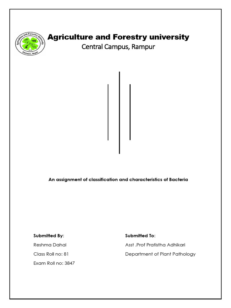 Bacteria 0 Pdf Bacteria Gram Positive Bacteria