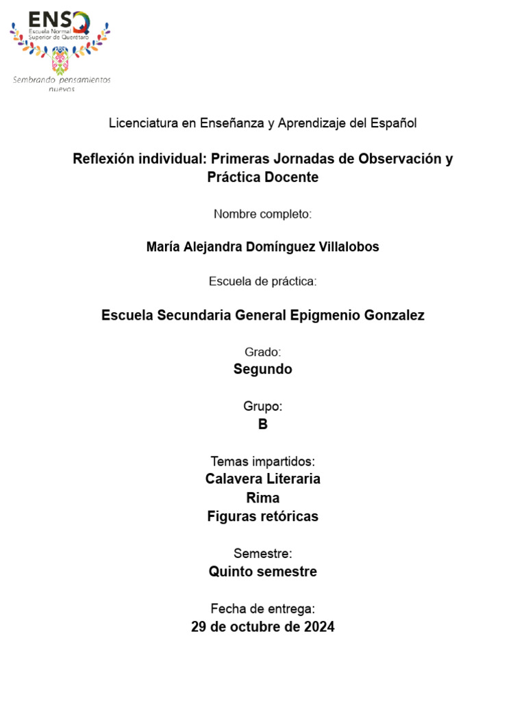 Ale D. Reflexión Individual - Primeras Jornadas de Observación y Práctica Docente | PDF ...