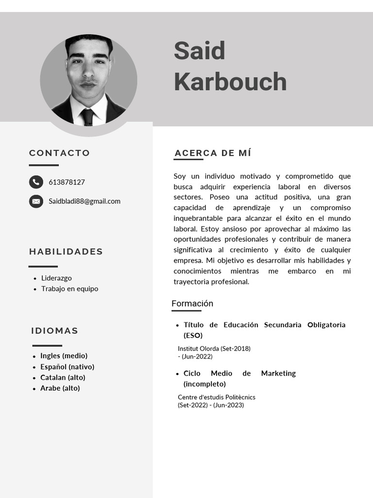 Currículum Vitae CV de Contabilidad Simple Gris | PDF