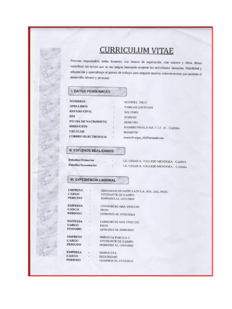 CV Manuel Vargas | PDF